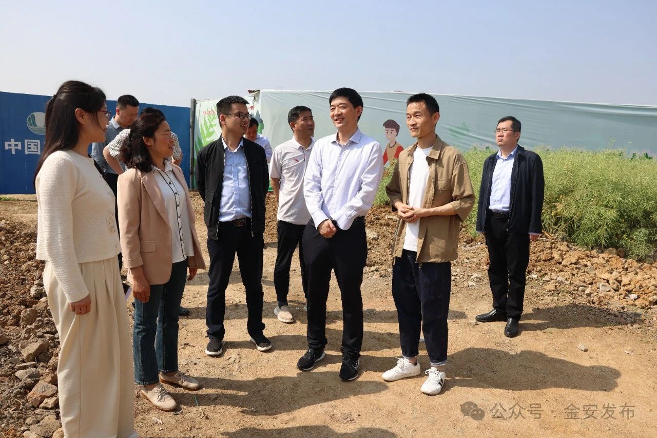 霍绍斌调研双墩汉墓周边环境整治、文明城市创建工作六安市金安区人民政府 0011